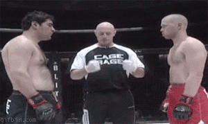 Surprise Punch | Best Funny Gifs Updated Daily