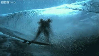 Surfing Slo-mo | Best Funny Gifs Updated Daily